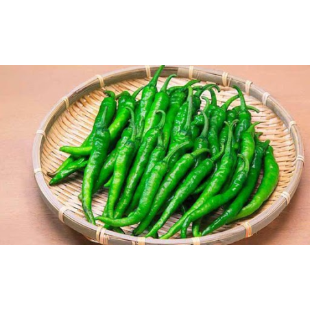 Green Chili (Kacha Morich কাঁচা মরিচ) 10 seeds